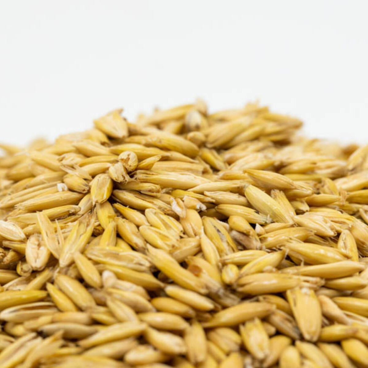 Futterrohstoffe für gesunde Tierernährung | Meinhof