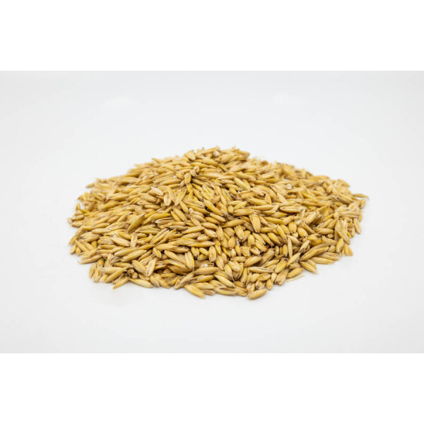 Hühner richtige füttern- Der Ratgeber von Meinhof